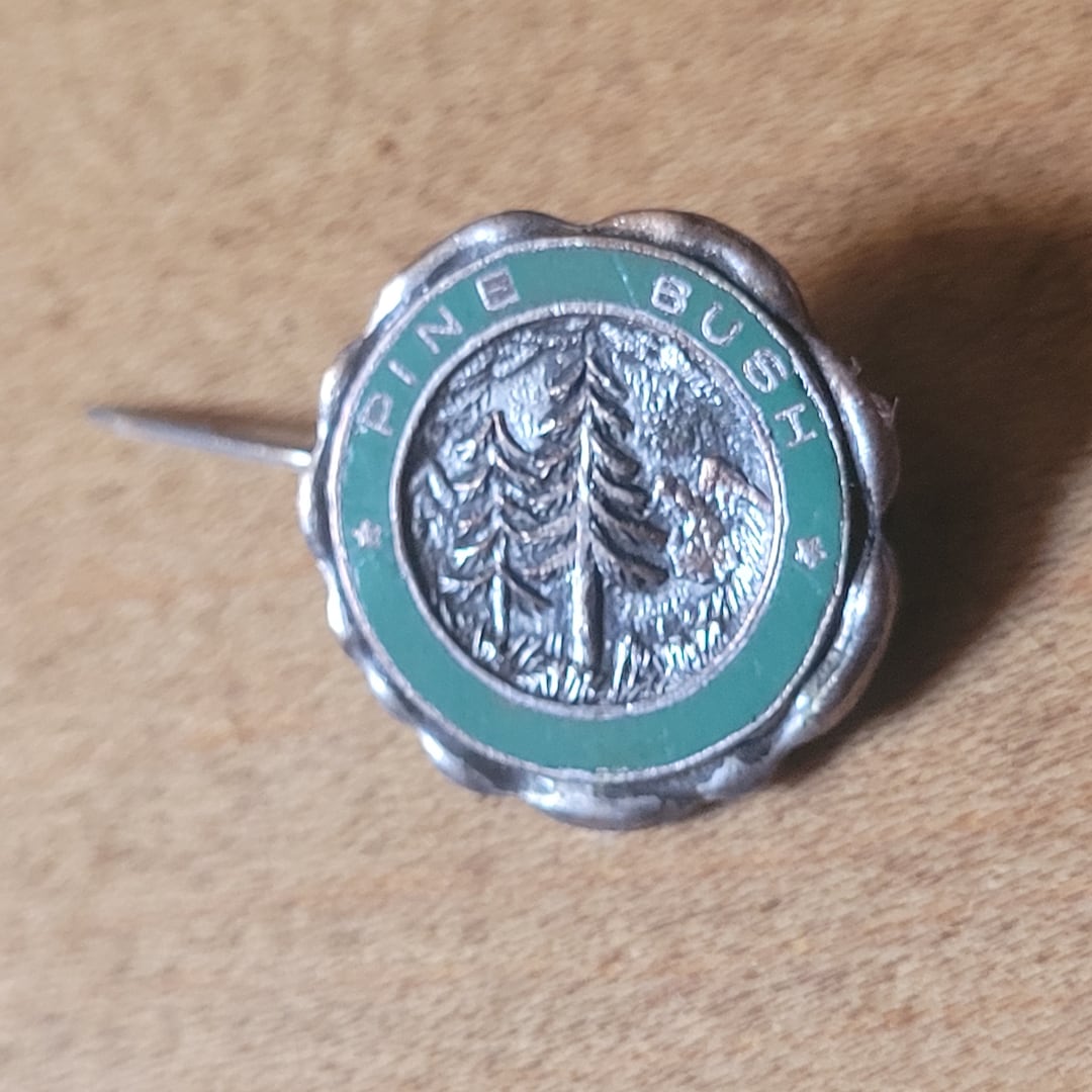 Lapel Pin Enamel Pine Bush NY Bastian Bros Rochester NY Collectible ...