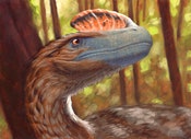 Guanlong - Etsy Canada