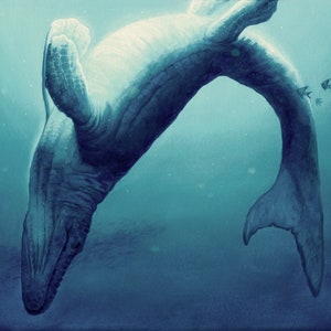 Mosasaurus Print - Etsy