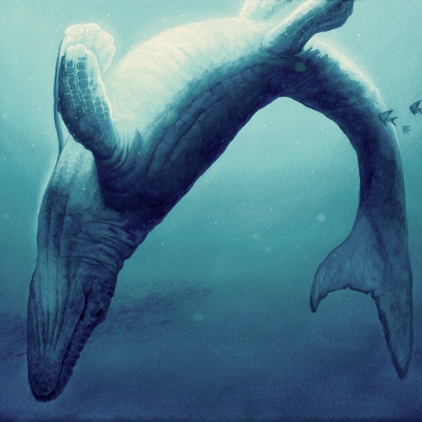 Mosasaurus - Etsy