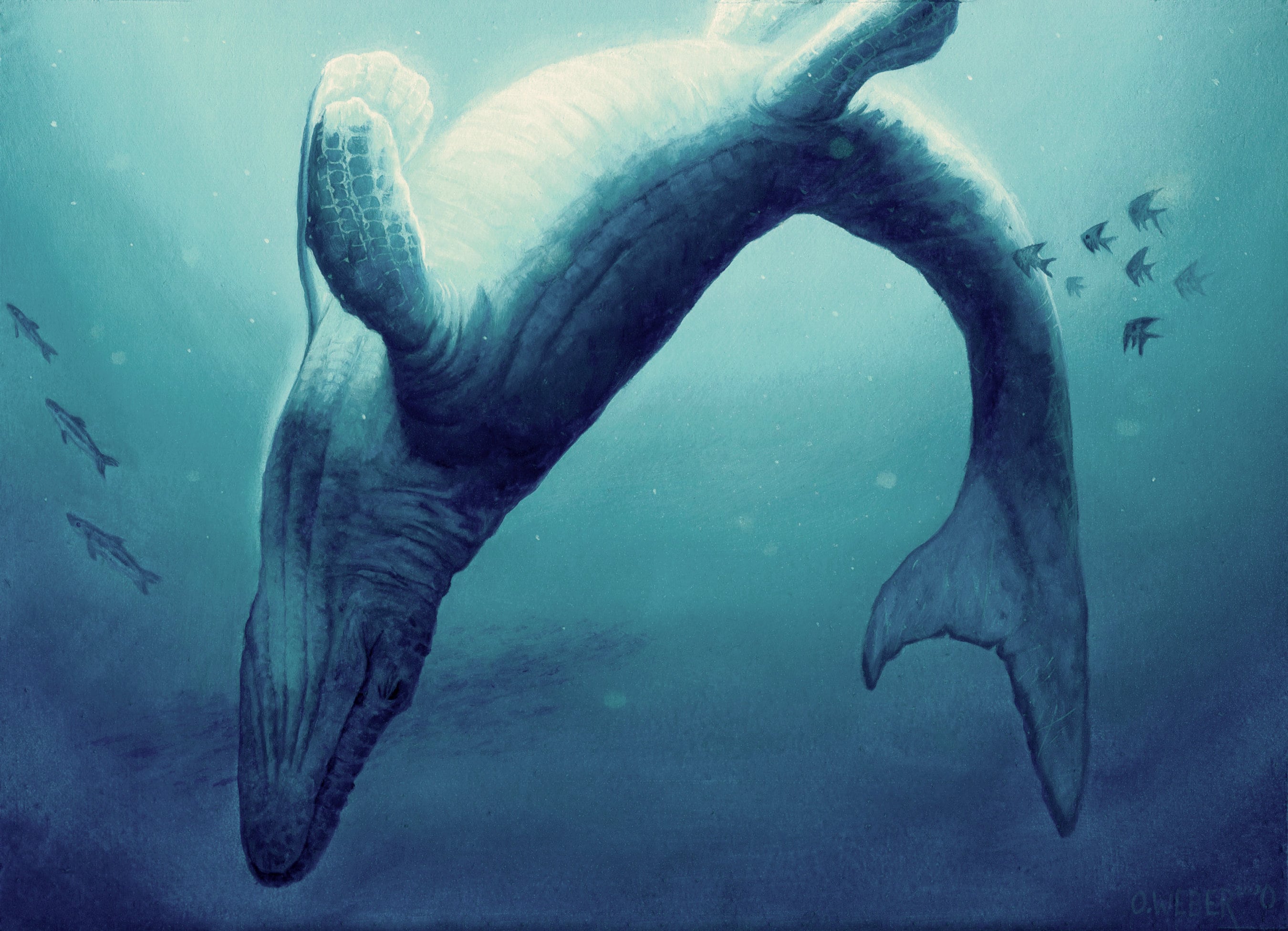 Mosasaurus Print - Etsy