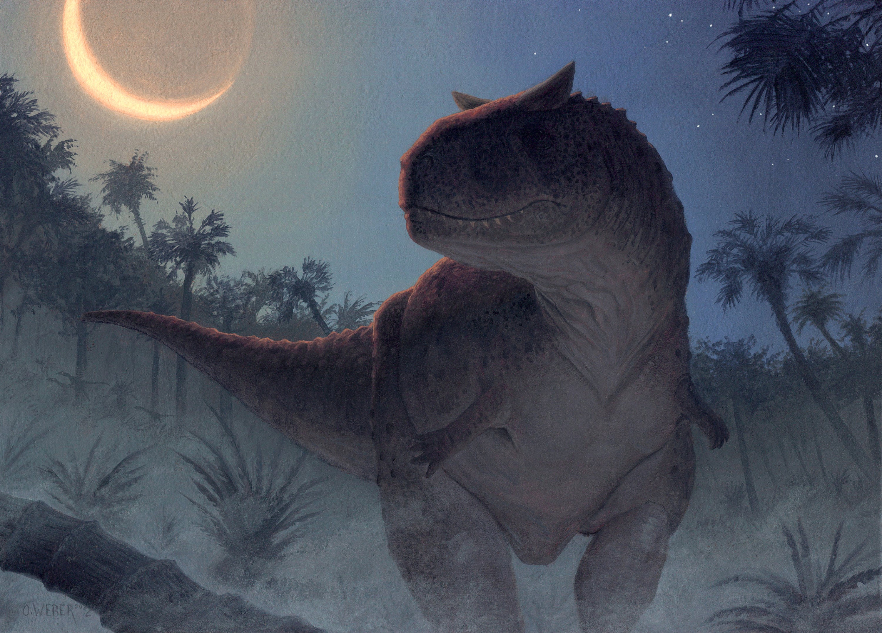 Carnotaurus Print - Etsy