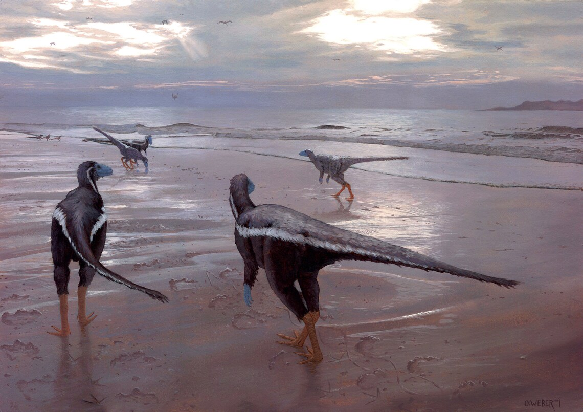 Eocursor Print - Etsy