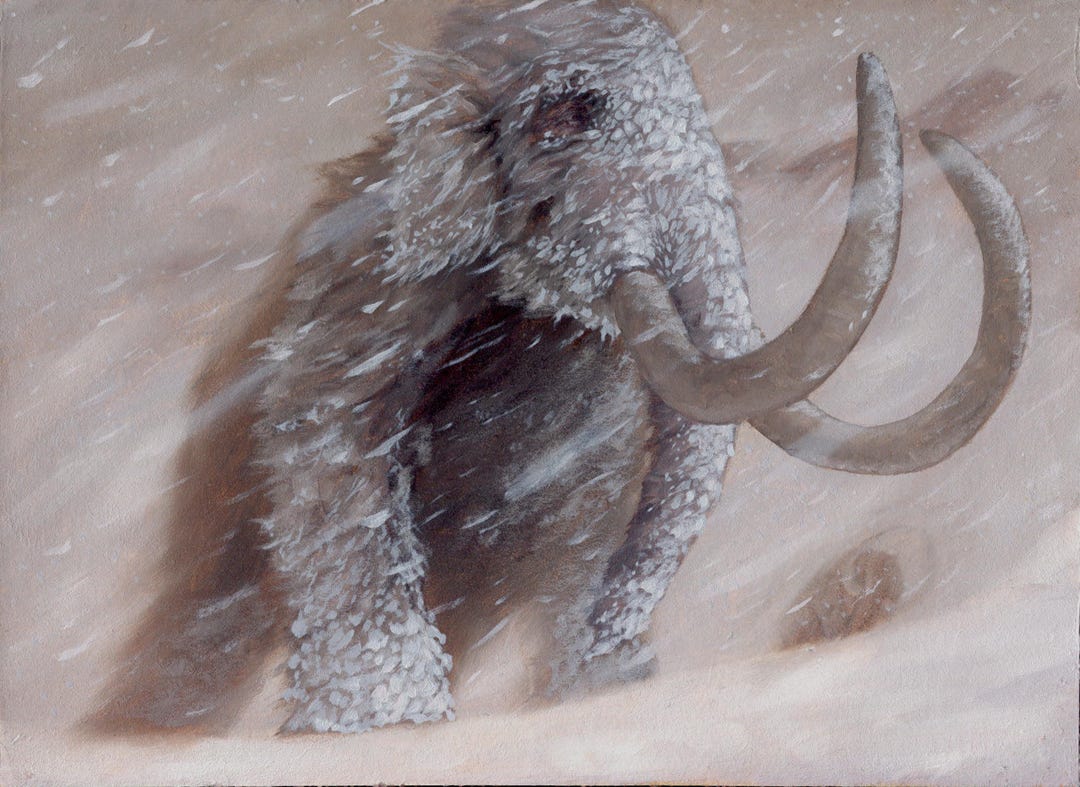 Woolly Mammoth Print - Etsy