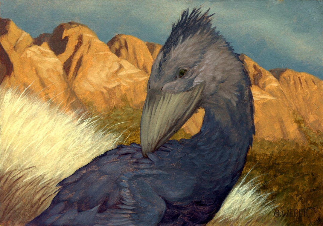 Kelenken Painting Art Print: Signed Archival Bird Portrait (5x7) - Etsy