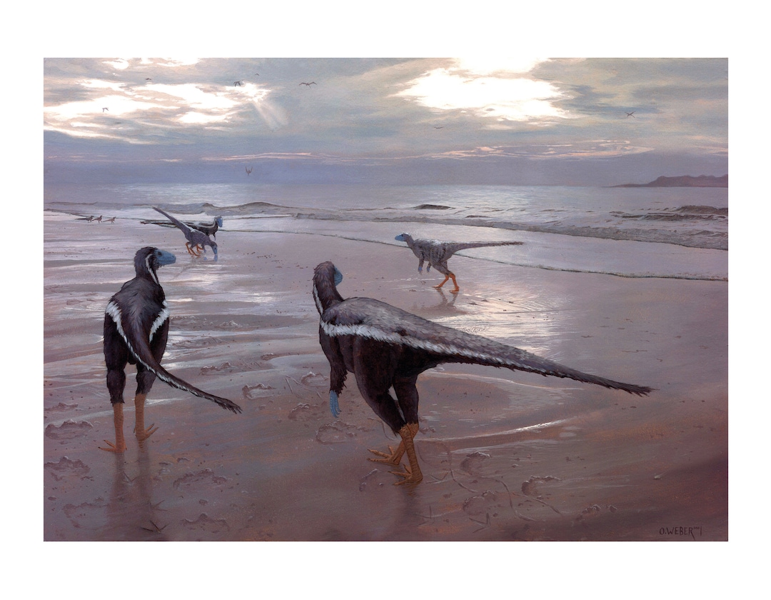 Eocursor Giclee Print - Etsy