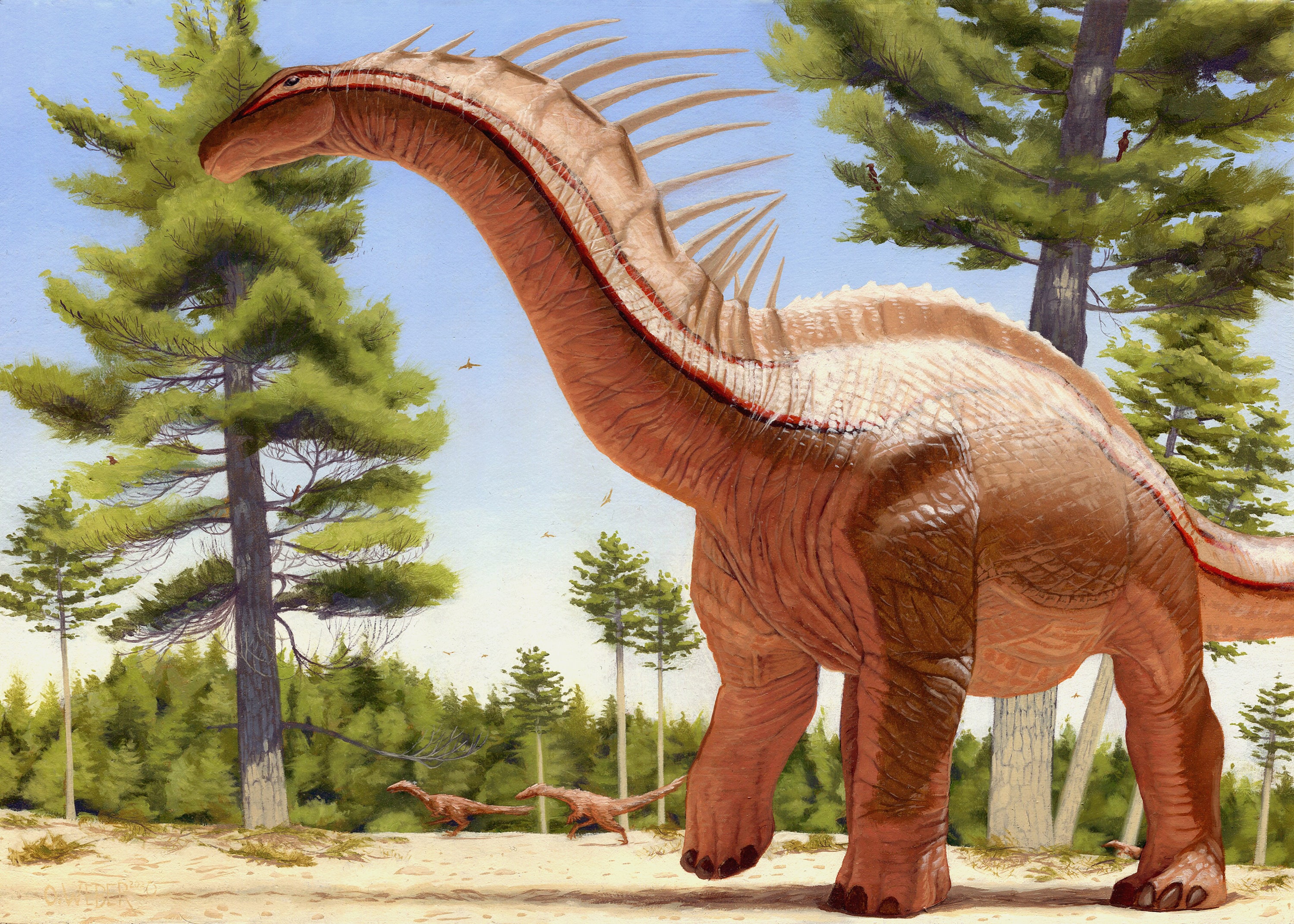 Amargasaurus