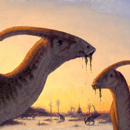 Kawaii Dinosaur Mini Parasaurolophus Duckbill Hard Enamel Pin - Etsy