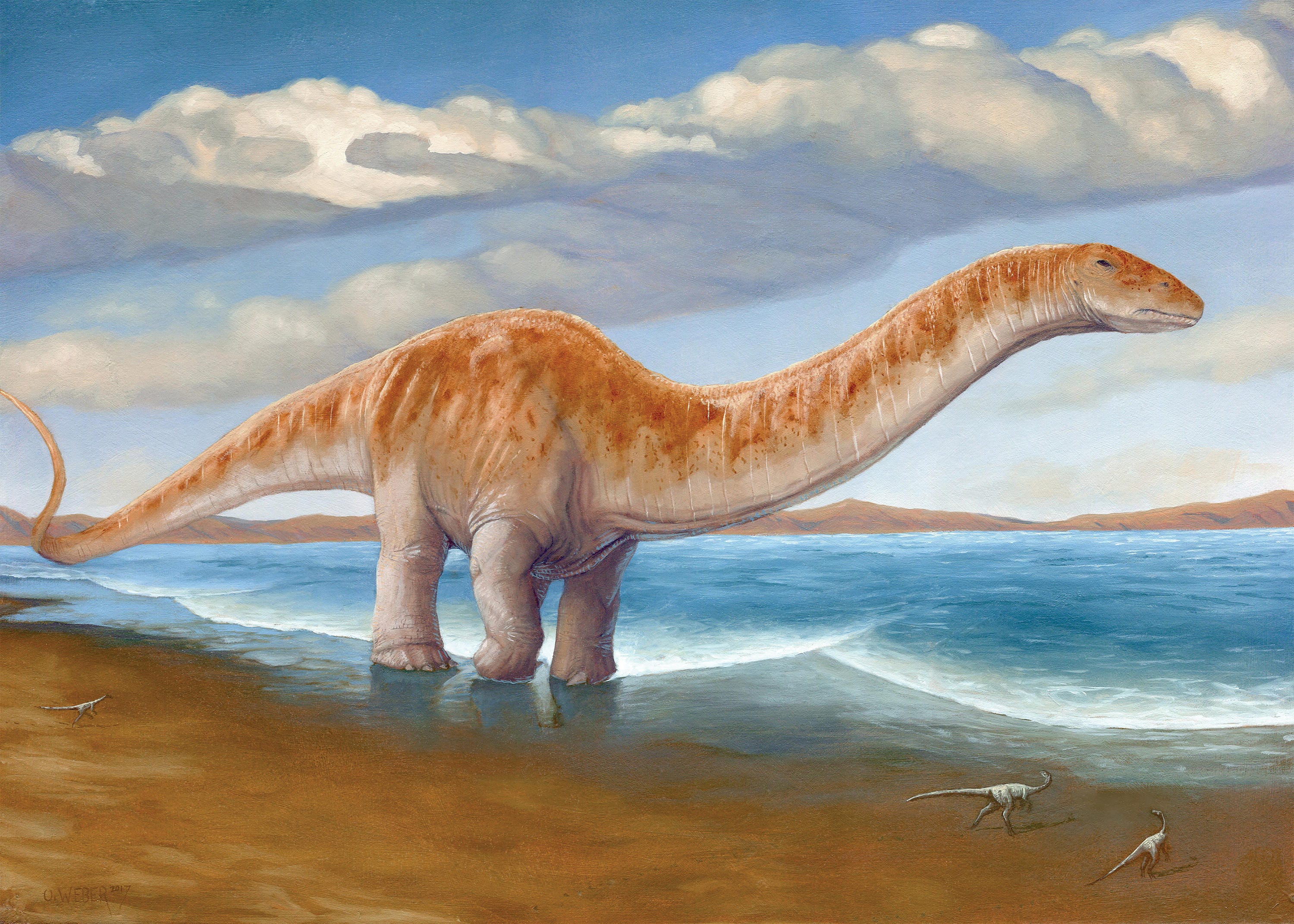 Apatosaurus Print - Etsy