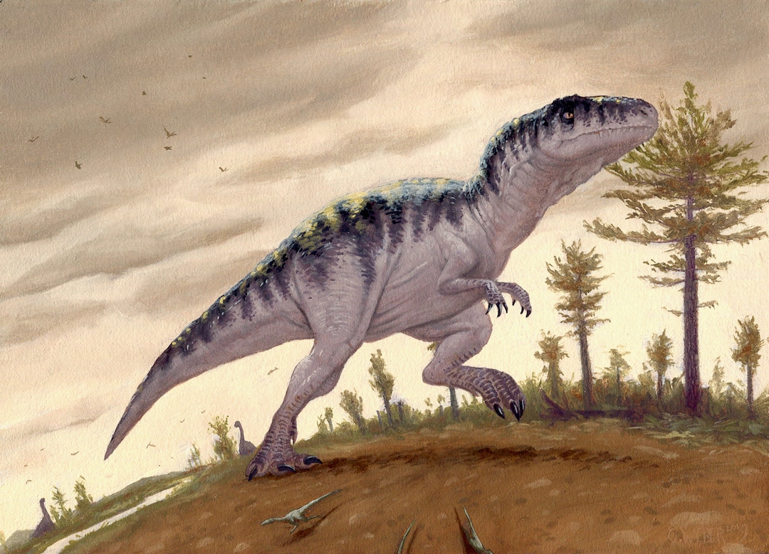 Giganotosaurus Art Print: Dinosaur Illustration (7x5) - Etsy
