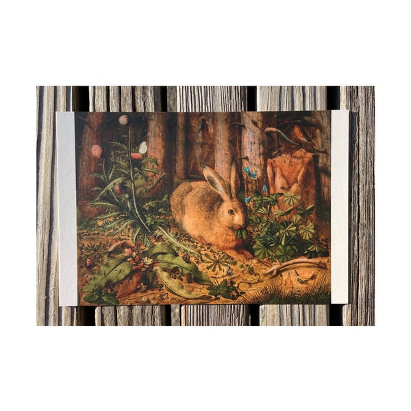 Rabbit Postcard - Etsy