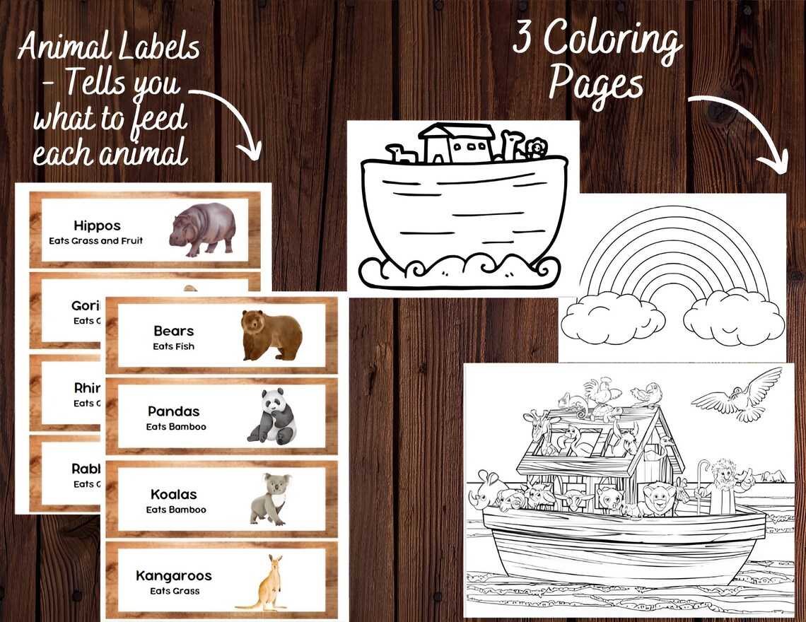 Noahs Ark Activity Printable - Etsy