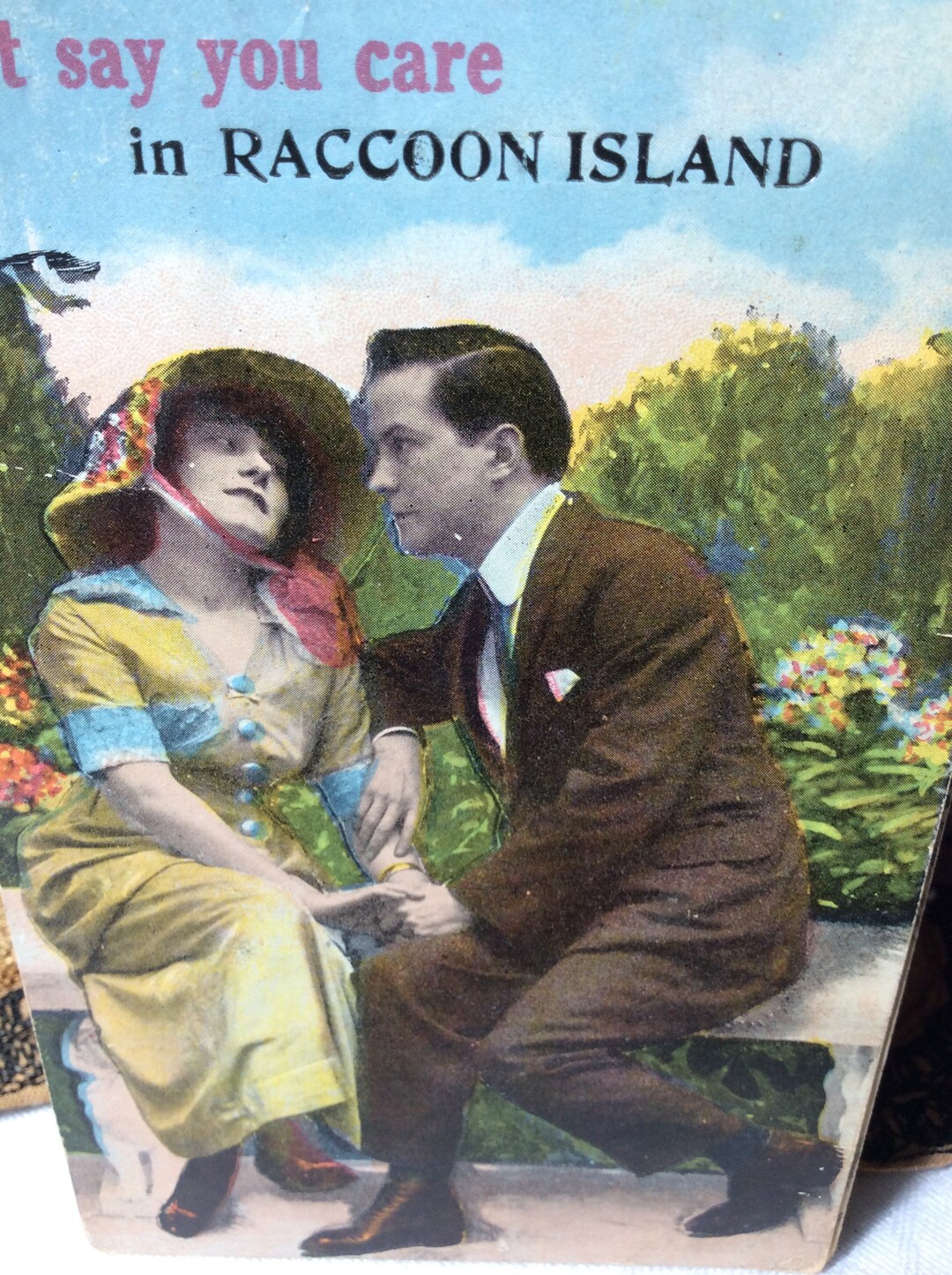 Raccoon Island Massachusetts Souvenir Postcard Antique Mass - Etsy