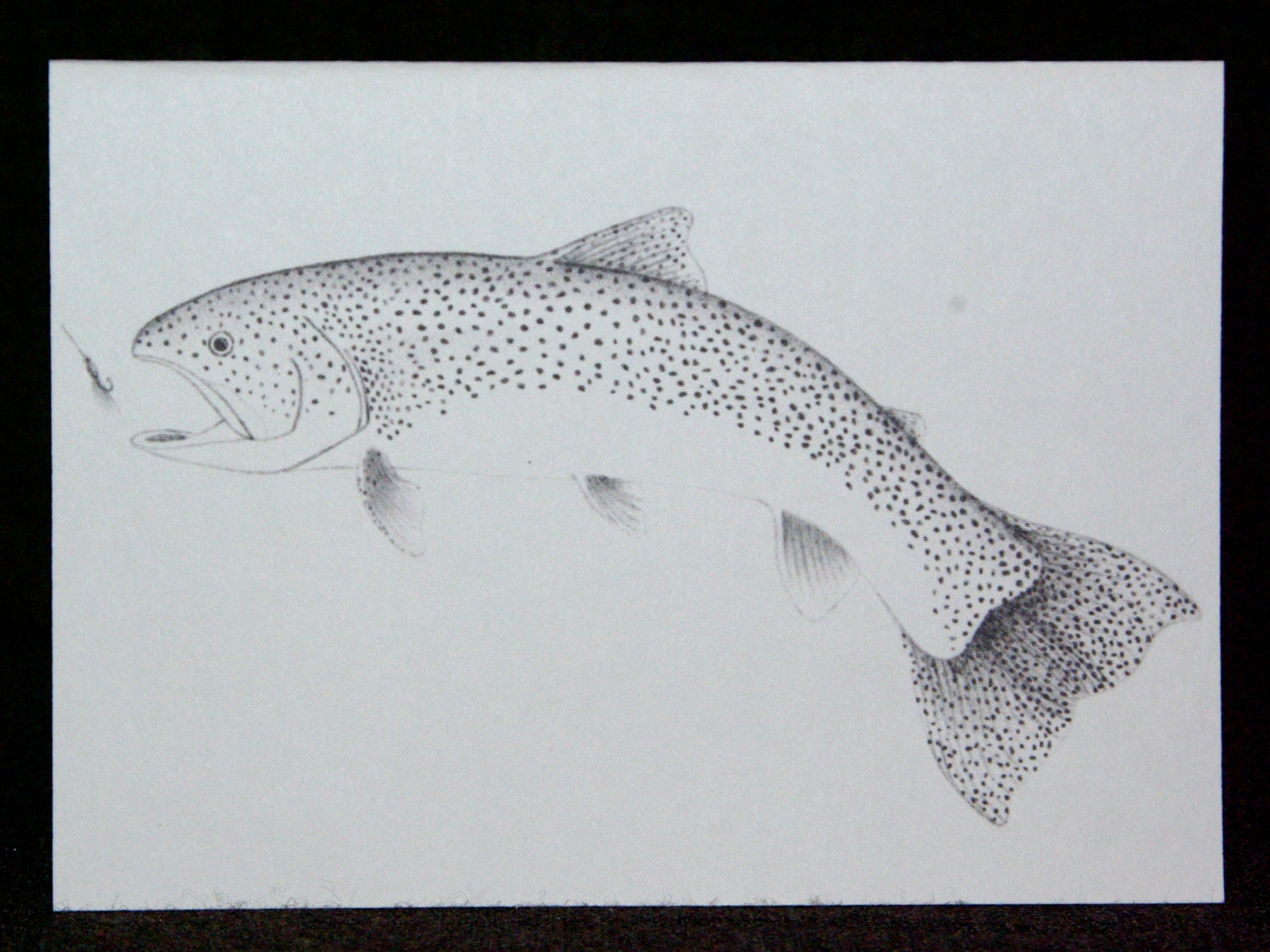 Trout Original Charcoal Drawing Notecard Fish Card Blank | Etsy