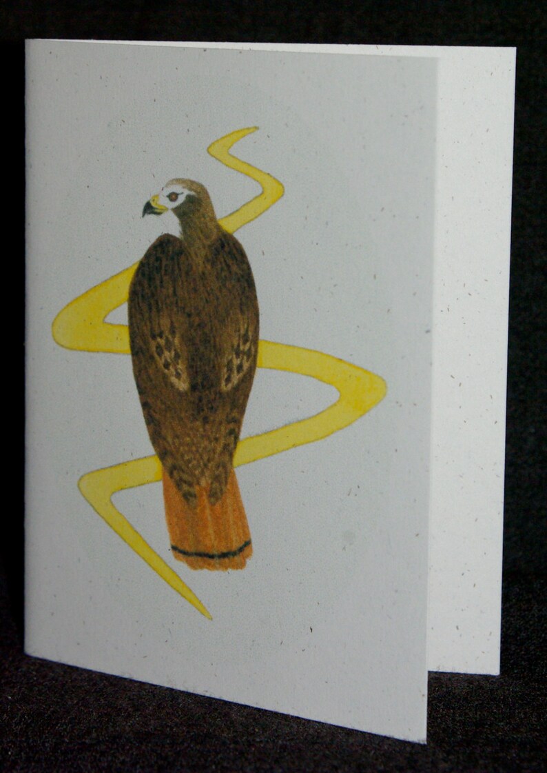 Red Tailed Hawk Greeting Card Watercolor Painting Notecard Native ...