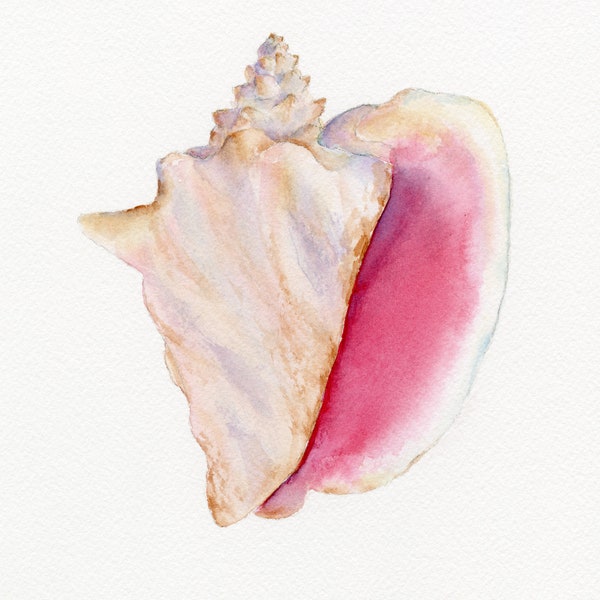 Sea Shell Paintings - Etsy