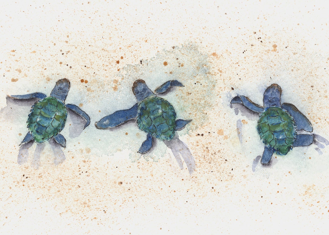Baby Sea Turtles Watercolor Print, Kids Room Turtle Art, Coastal ...