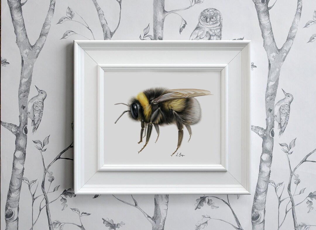 Realistic Bumblebee Art Print Bee Art Print Bee Wall Art - Etsy