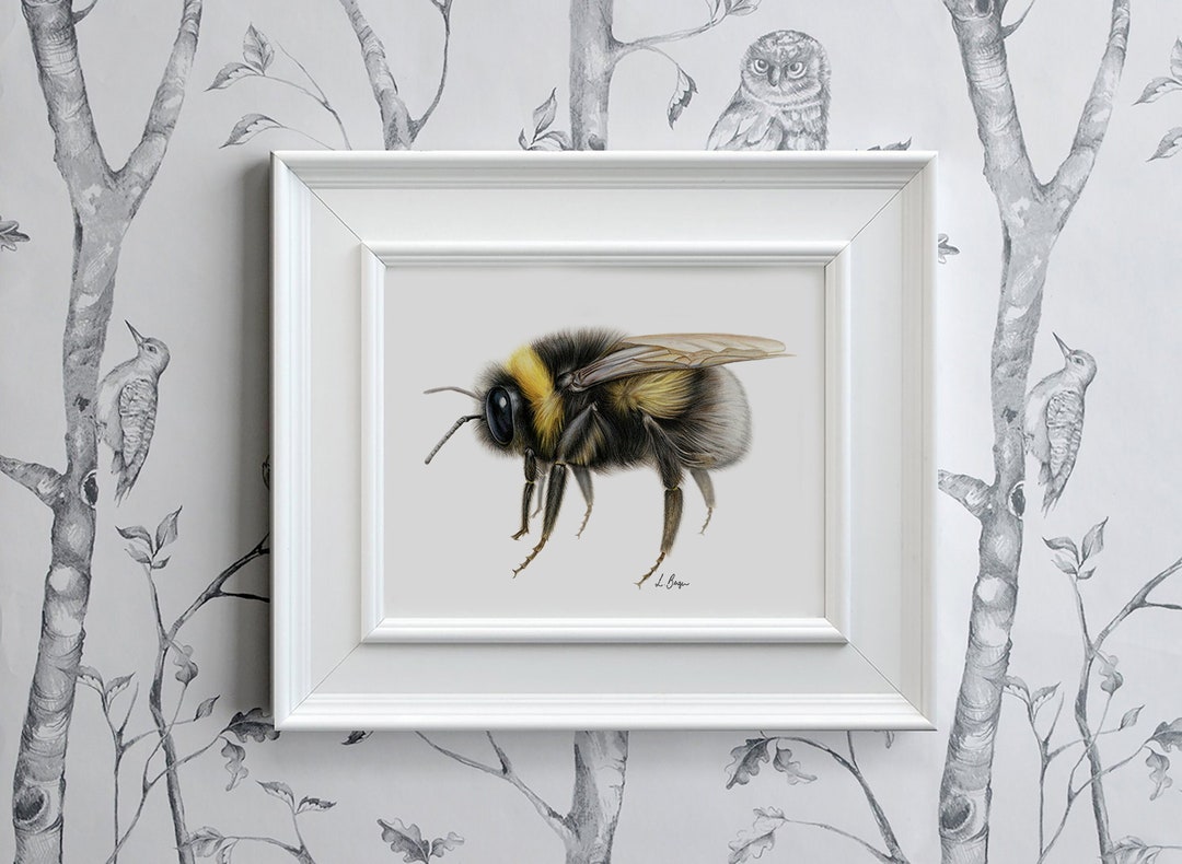 Realistic Bumblebee Art Print, Bee Art Print, Bee Wall Art, Bumble Bee ...