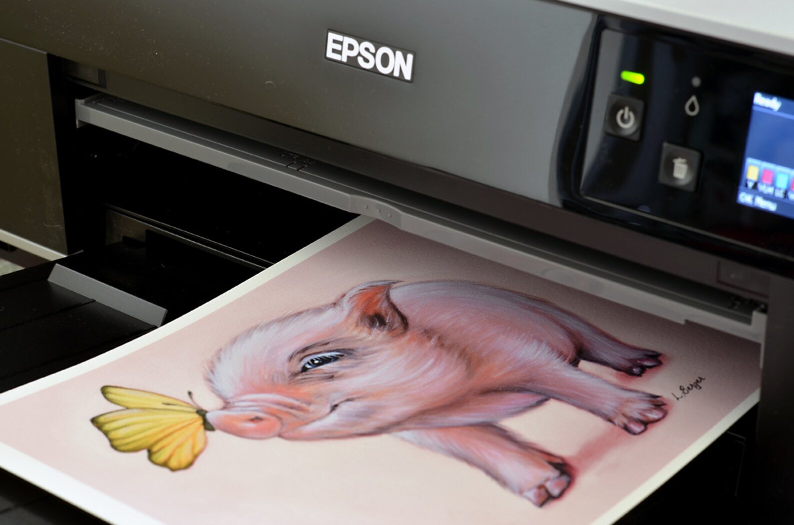 Mini Pig Print. Pig Giclee Print. Pig Print. Pig Art Print - Etsy