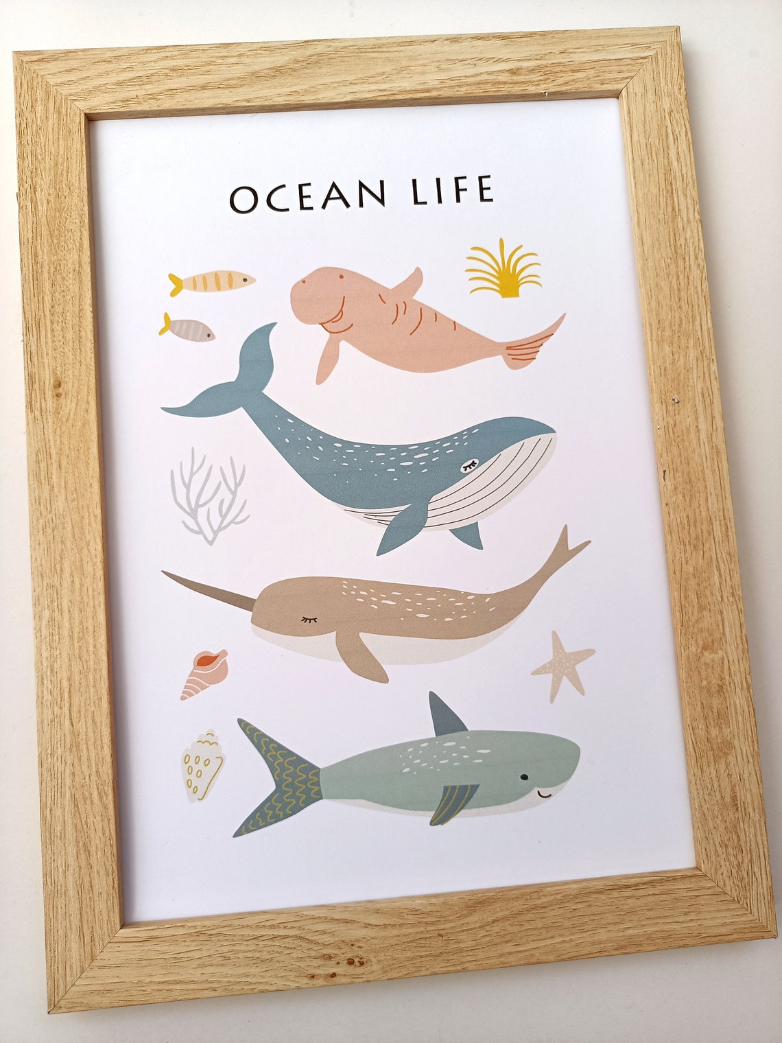 Ocean Animals Print Set, 3 Educational Prints, Classroom Posters, Home ...