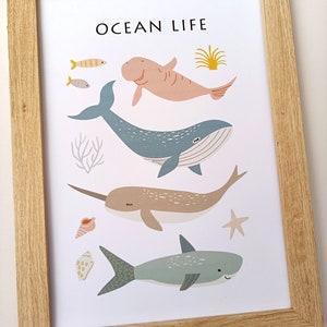 Ocean Animals Print Set, 3 Educational Prints, Classroom Posters, Home ...