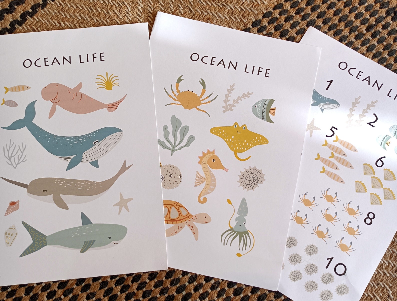 Ocean Animals Print Set, 3 Educational Prints, Classroom Posters, Home ...