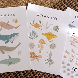 Ocean Animals Print Set, 3 Educational Prints, Classroom Posters, Home ...