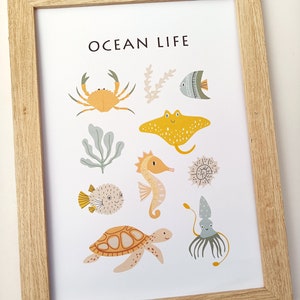 Ocean Animals Print Set, 3 Educational Prints, Classroom Posters, Home ...