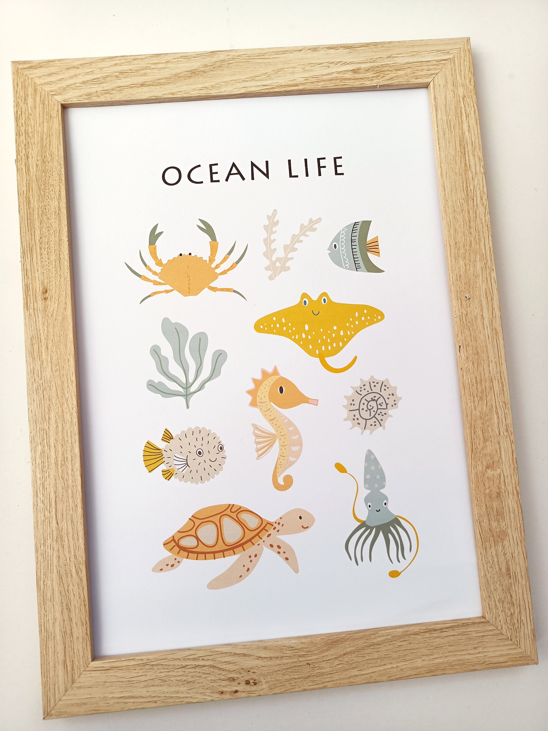 Ocean Animals Print Set, 3 Educational Prints, Classroom Posters, Home ...