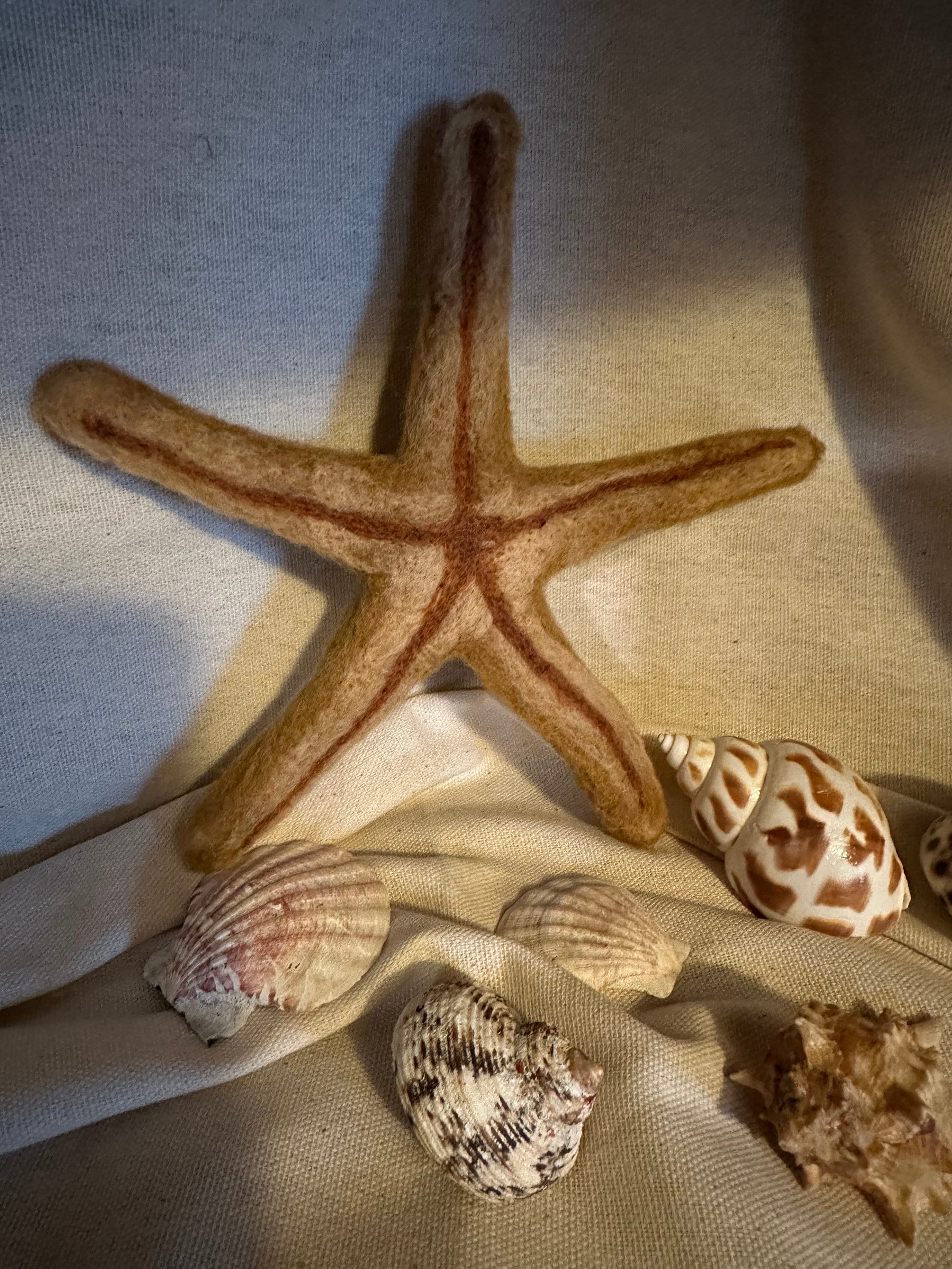 Needle Felted Starfish, Sculpted Beach Decor, Realistic Starfish ...