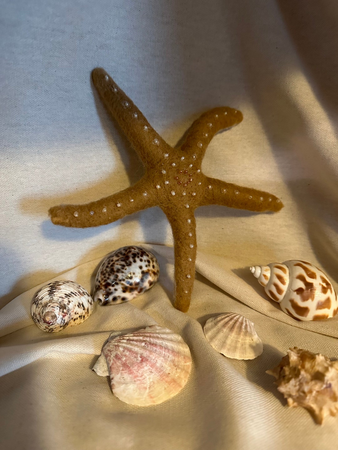 Needle Felted Starfish, Sculpted Beach Decor, Realistic Starfish - Etsy