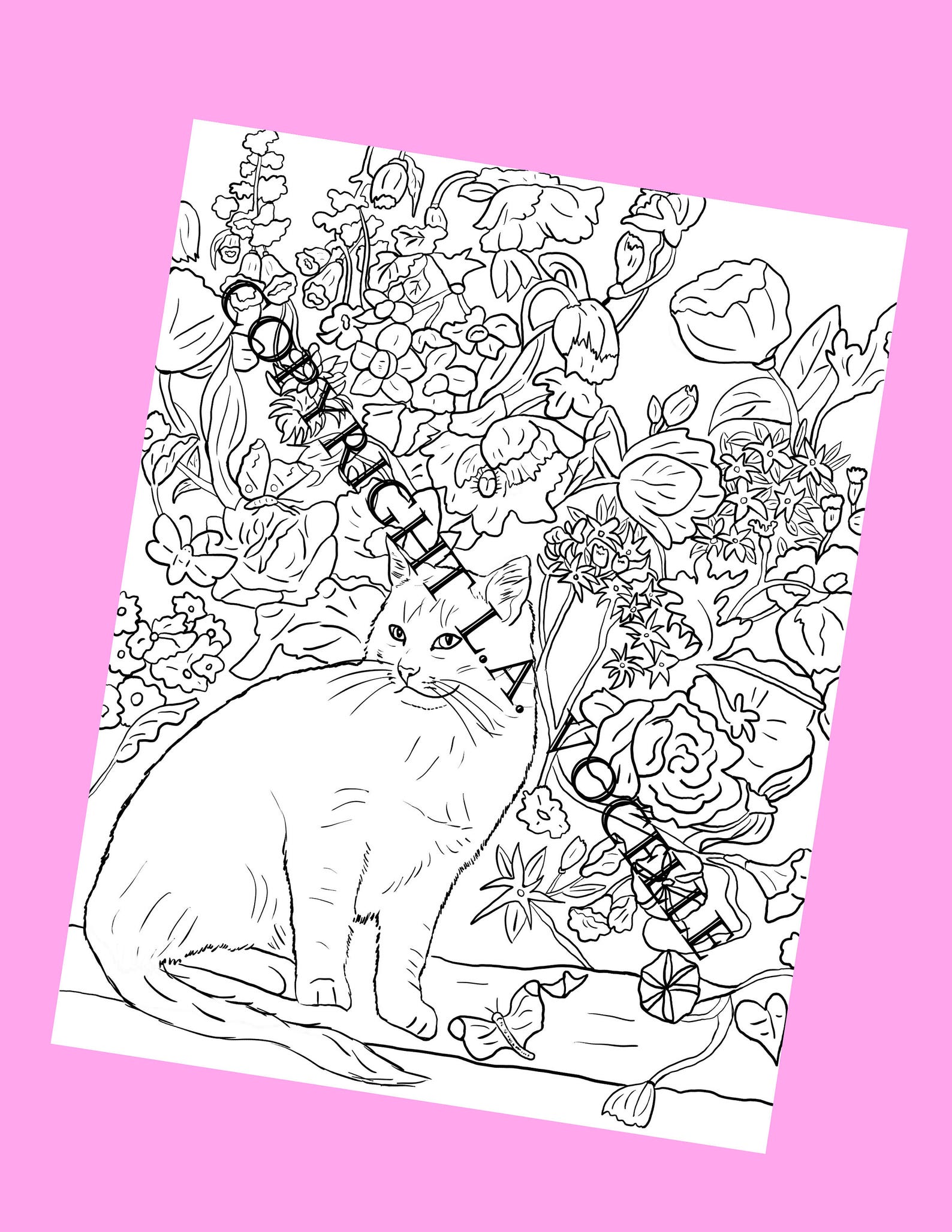Cat Coloring, Adult Coloring Books, Coloring Pages, Kitty Coloring ...