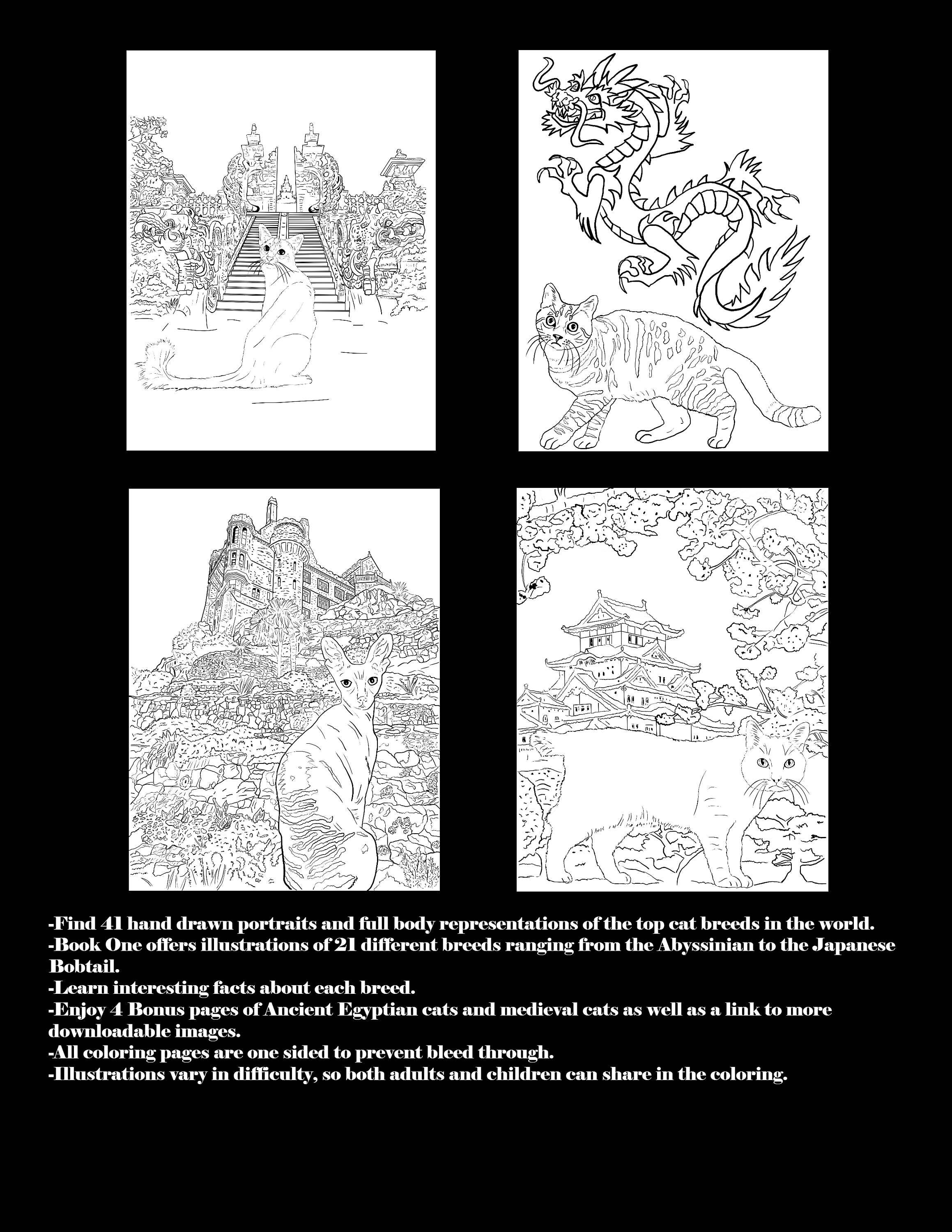 Cat Coloring Pages, Adult Coloring Book, Cat Coloring, Kitty Coloring ...