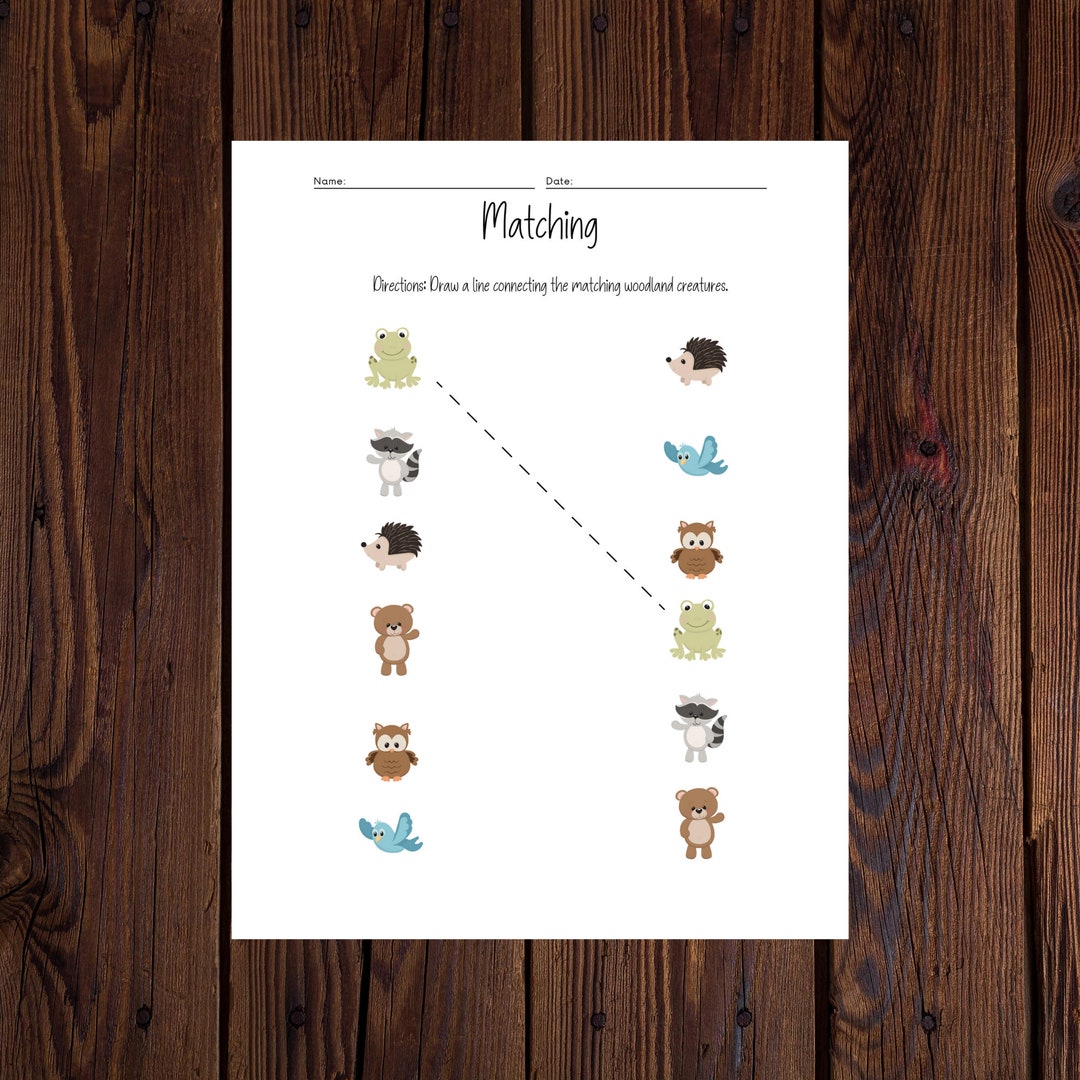 Preschool and Kindergarten Woodland Creature Homeschooling Matching ...
