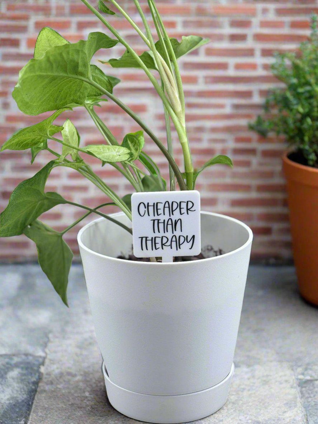 Plant Therapy Plant Marker | Funny Gardening Gift | Cheaper Than ...
