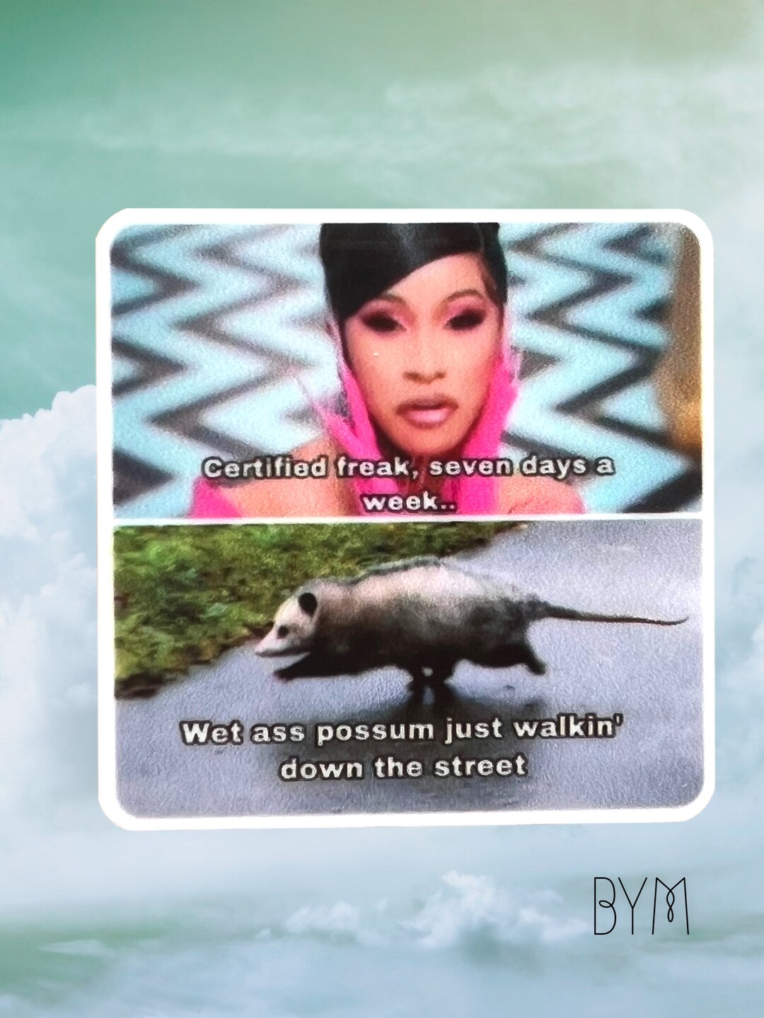 Opossum Certified Freak Funny Meme Acrylic Minder Needle Pin Magnet - Etsy