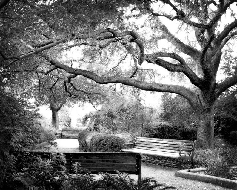 Black and White Photography - Meander - 8x10 Fine Art Photo - Landscape ...