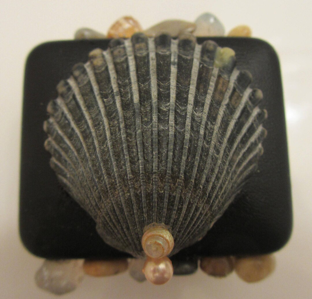 Pearl, a Clamshell Jewelry Box - Etsy
