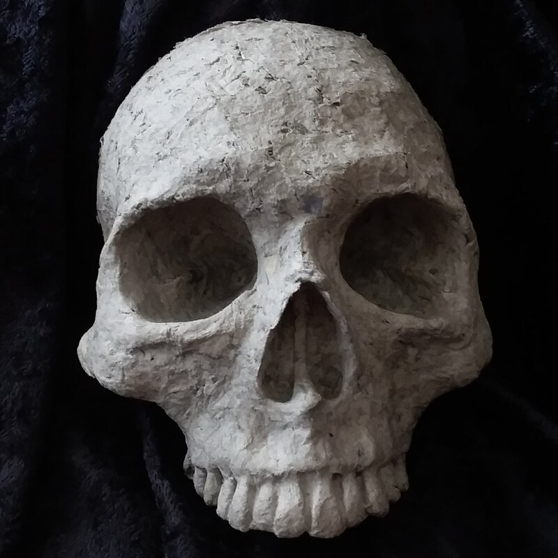 Paper Mache Skeleton - Etsy