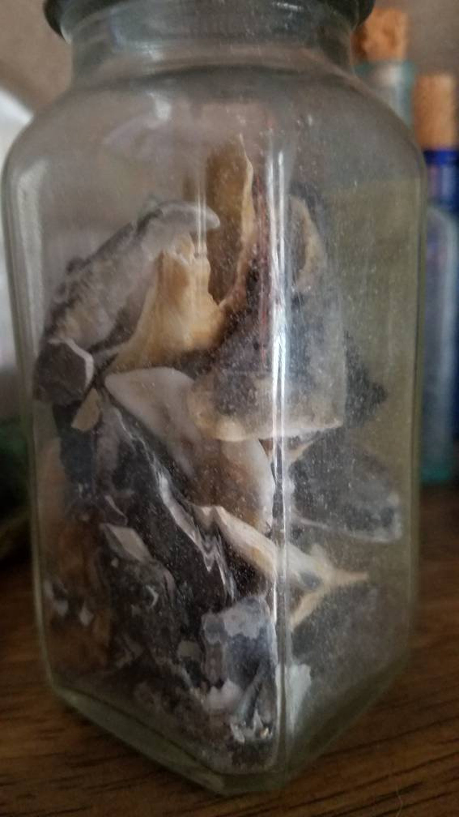 Ogre Toenail Clippings. Apothecary Glass Jar. Halloween Decor. - Etsy