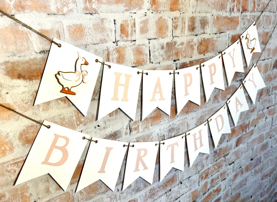 One Silly Goose HAPPY BIRTHDAY Banner. Custom Name One Silly Goose ...