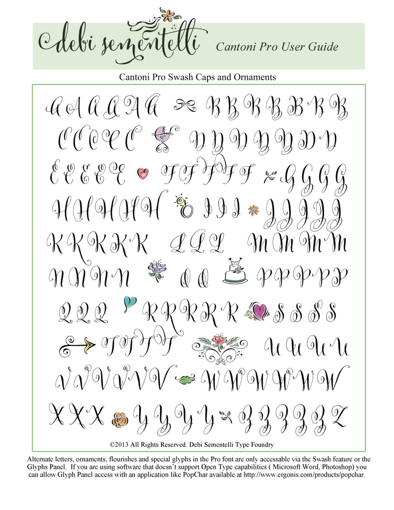 Cantoni Total Design Calligraphy Font Package - Etsy