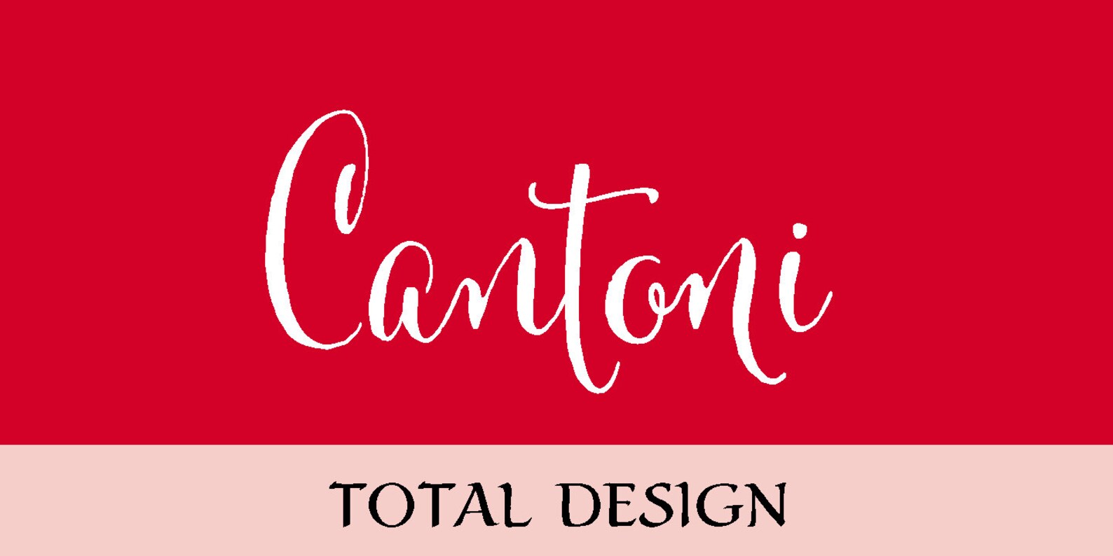Cantoni Total Design Calligraphy Font Package - Etsy