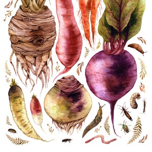 Root Vegetable Print Summer Garden Print Vegetable Art Print Botanical ...