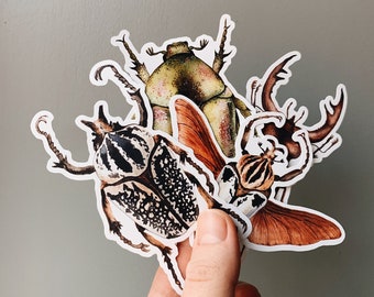 Beetle Stickers | Etsy