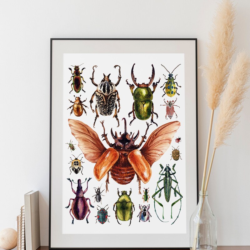Bug Prints - Etsy