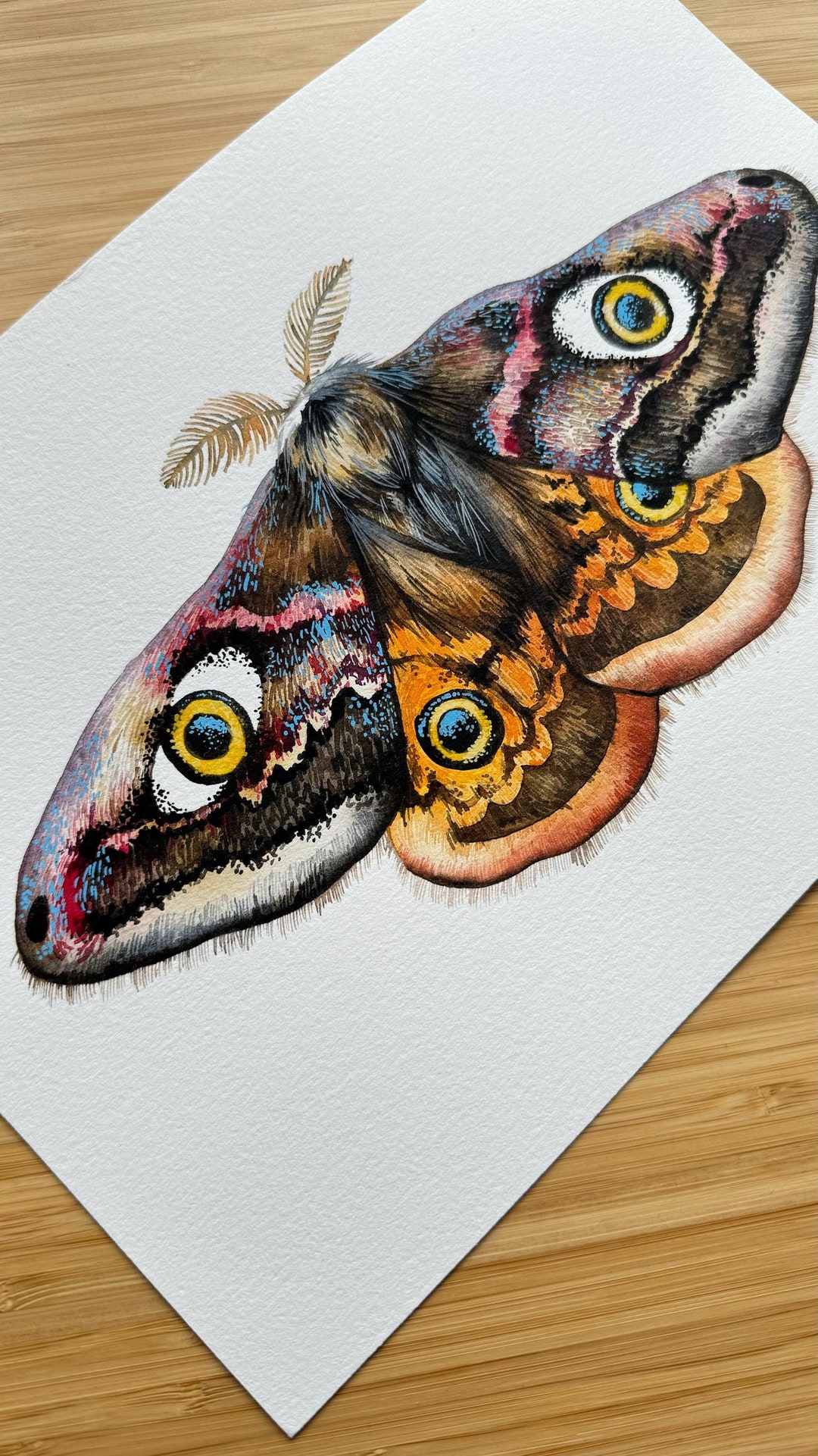 Emperor Moth Watercolour Original - UK Watercolor Moth - Etsy