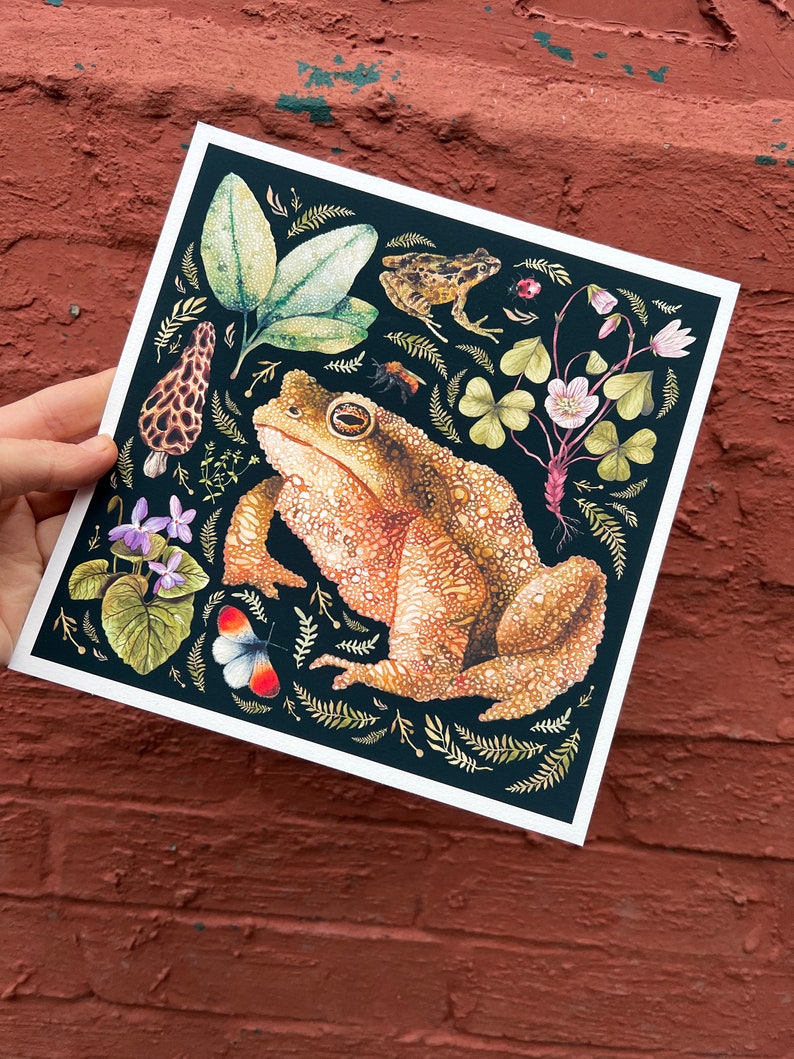 Toad Art Print Illustrated Toad Print Frog Print With - Etsy