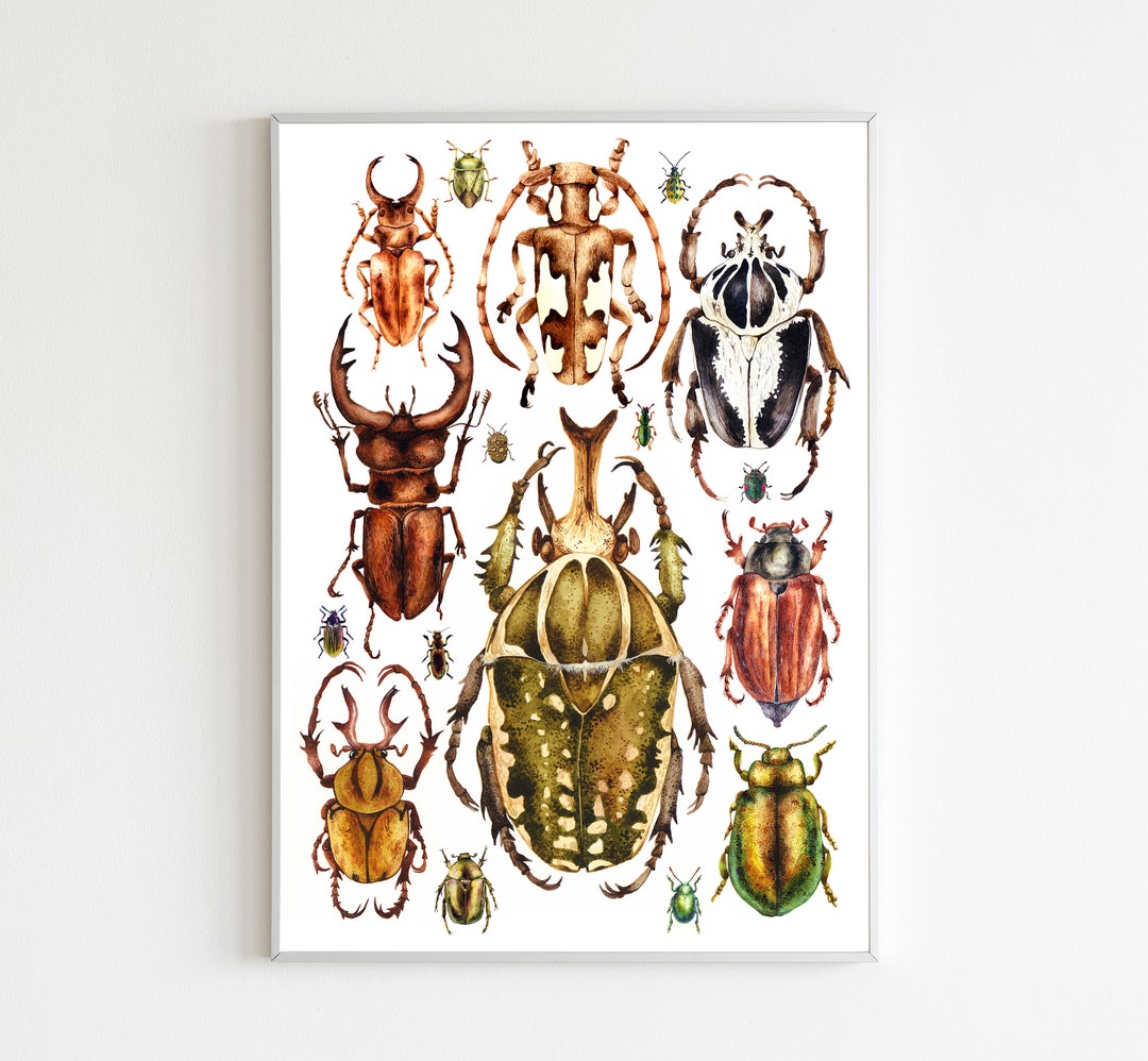 Beetles print - Bugs Art - Bugs Print - Kids Room Décor - Insect Print ...